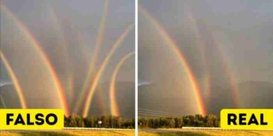 Foram desmascaradas 30 imagens falsas que já engaram muitas pessoas na ...